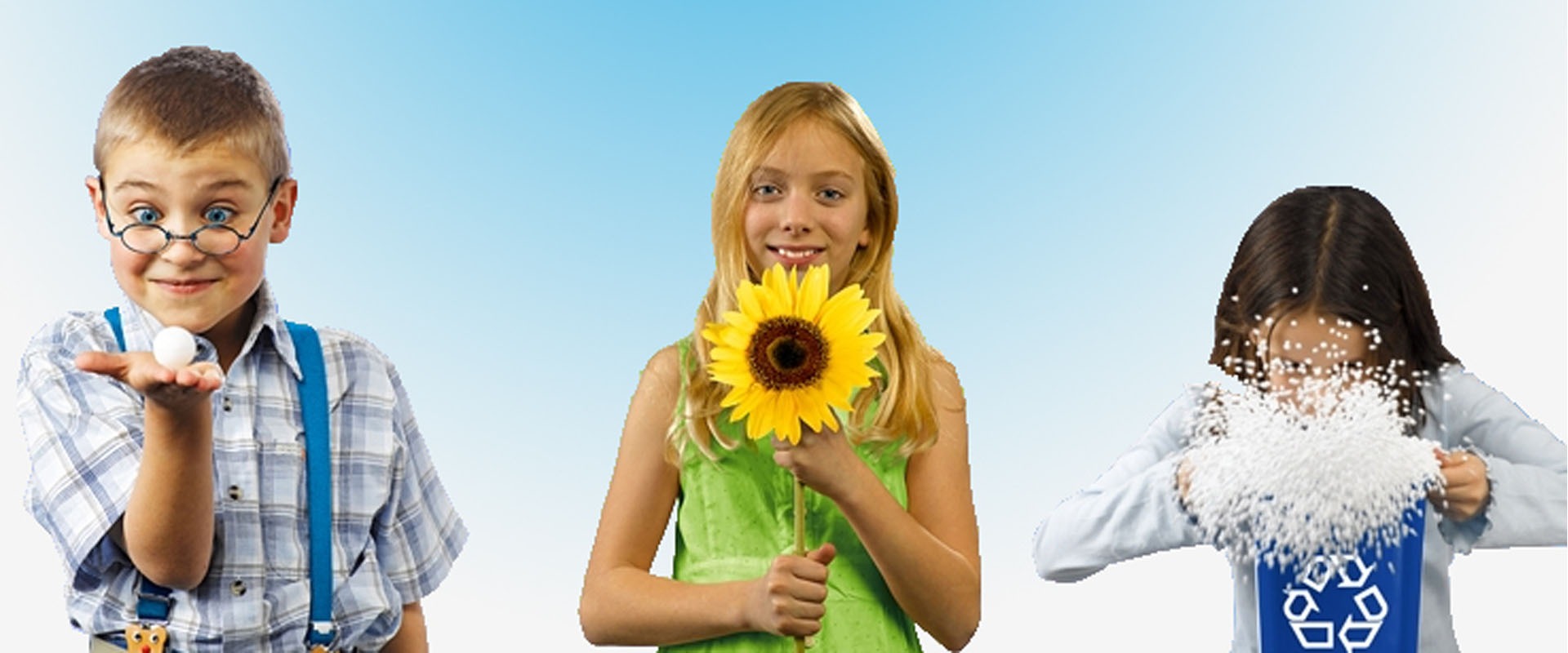 Environment | National Polystyrene Systems